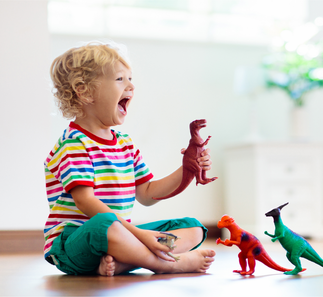 The Learning Tree | Toys, Books, & Gifts | Praire Village, KS