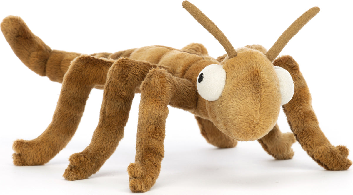 Stanley Stick Insect — The Learning Tree