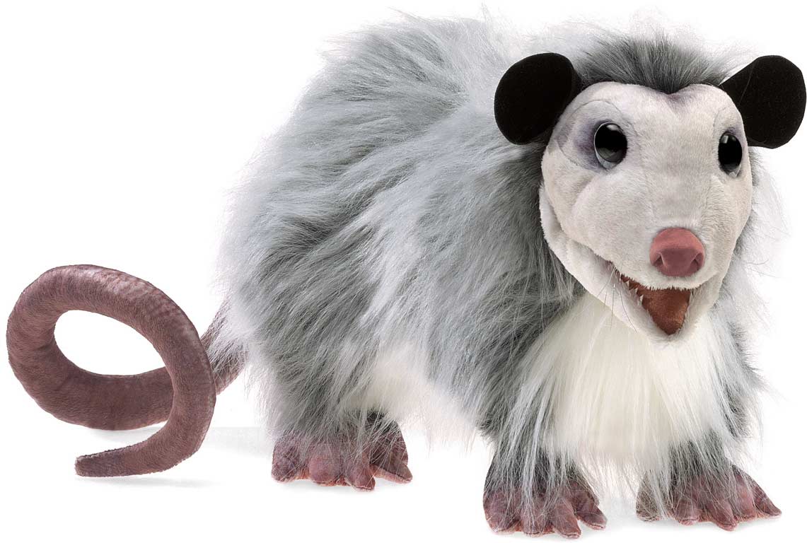 Opossum — The Learning Tree